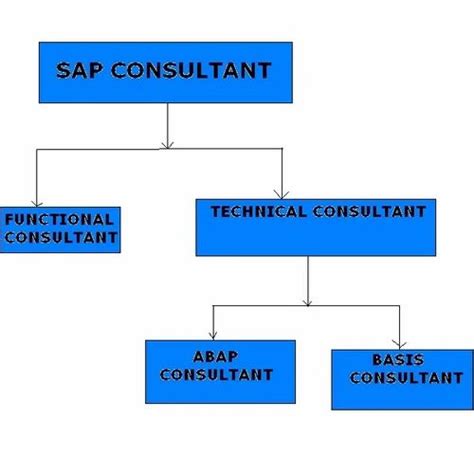 Sap Basis And Technical Consulting Services In Sanand Id 4562762433