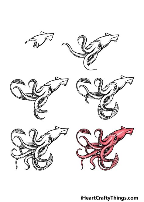 How To Draw A Squid A Step By Step Guide Squid Drawing Octopus Drawing Squid Tattoo