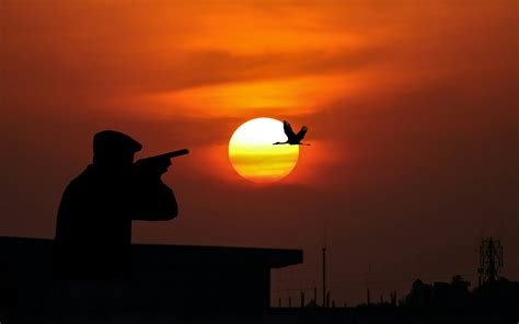 图片素材 狩猎 鸟 太阳 黄昏 武器 霰弹枪 天空 natur 运动 黑色 射击 旅行 目标 武装 步枪