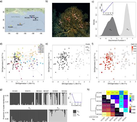 Population Genetic Structure Of Paramuricea Biscaya In The Northern Download Scientific Diagram