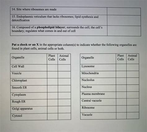 Solved Cell Organelles Practice Worksheet Complete The Chegg