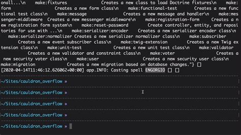 Playing With A Custom Console Command Symfony 5 Fundamentals
