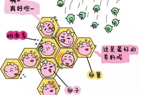 生殖医生让你检查的性激素六项，上面的“门道”如何解读？