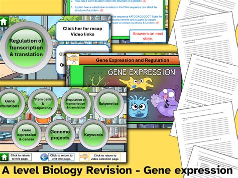 Topic 8 Revision Control Of Gene Expression Part 1 Teaching Resources