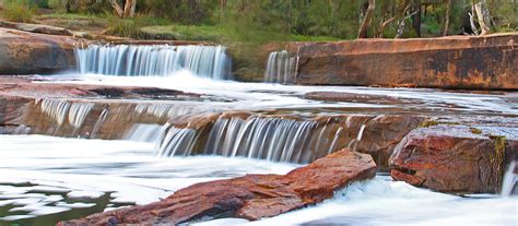 Lazy Gecko Photography All Photographs