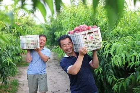 全國一村一品示範村鎮，榮成哪些上榜？ 每日頭條