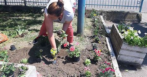 Моята градинка I клас Album On Imgur