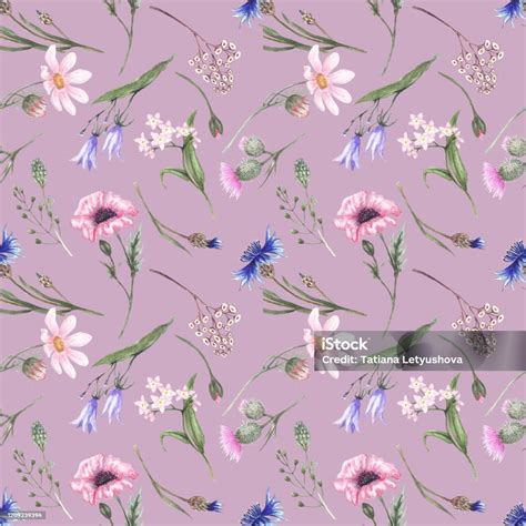 아름다운 야생화의 이미지와 원활한 패턴 양귀비 카모마일 옥수수 꽃 엉겅퀴 종 보라색 배경에 0명에 대한 스톡 벡터 아트 및 기타 이미지 Istock