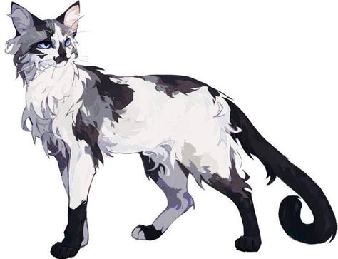 Пин на доске Warrior Cat Ocs Рисунки животных Иллюстрации кошек
