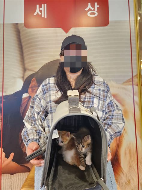 도그마루 보호소 코숏 산 바다 사모예드특징 스피츠특징 시바견특징 시베리안허스키특징 시츄특징 요크셔테리어특징 웰시코기특징 이탈리아그레이하운드특징 치와와특징 코카스파니엘