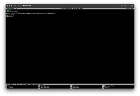 Install And Configure Nginx On AlmaLinux