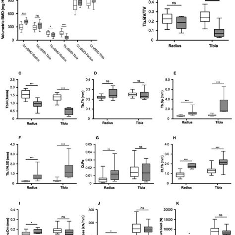 Volumetric Bone Mineral Density Bone Microarchitecture And Strength At Download Scientific