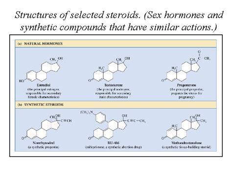 Organic Molecules Functional Groups Lipids Terpenes Fats Oils