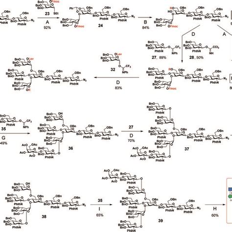 Enzymatic Synthesis Of Bisected N Glycans 8i 21i From 7i Download Scientific Diagram