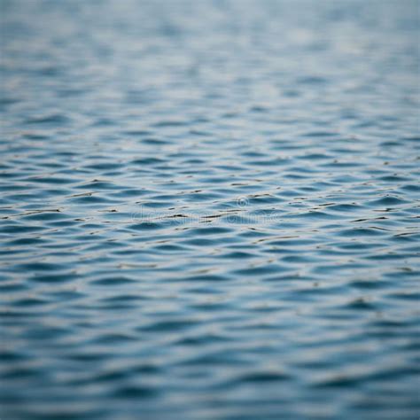 Rippling Water Surface With Small Gentle Waves Creating A Textured Pattern The Water Is Stock