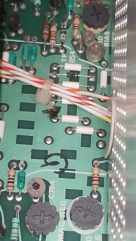 Found The Bug In My Scope Relectronics