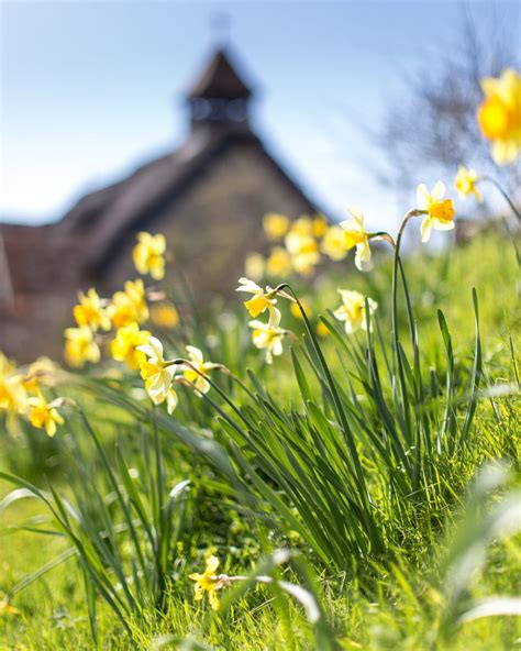 30 Easter Prayers And Blessings To Rejoice On Resurrection Sunday