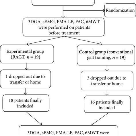 Modeling Interface For 3d Gait Analysis Download Scientific Diagram