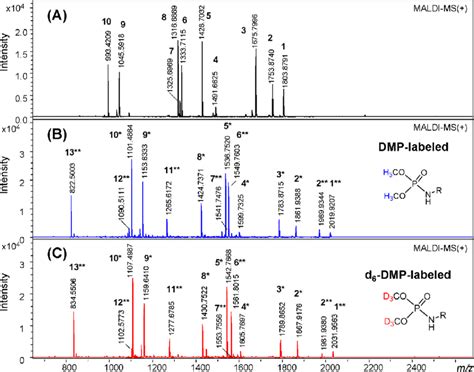 Maldi Ms Spectra Of The Tryptic Peptides Of Lysozyme A Native B Download Scientific