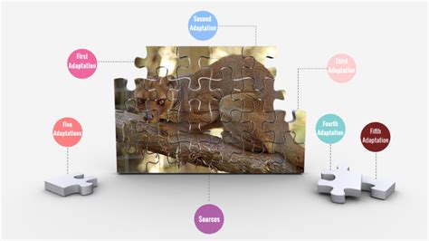 Fossa Physical And Behavioral Adaptations By Xava Manall On Prezi