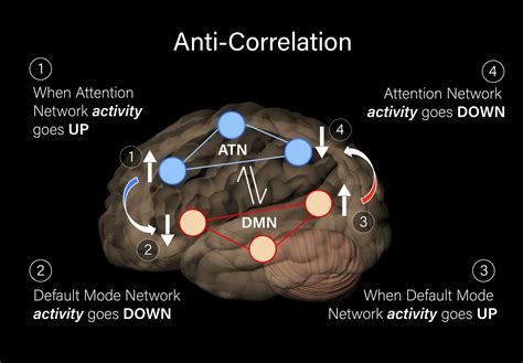알라딘서재 Dmn Vs Tpn
