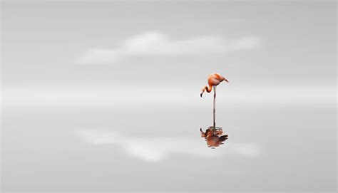 Jane Doe By Daniel Eidi 500px