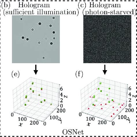 Reconstruction Result Comparison Of 3d Particle Volume Using Different