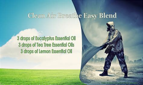 Try This Breathe Easy And Clean Air Diffuser Blend Made With Tea Tree