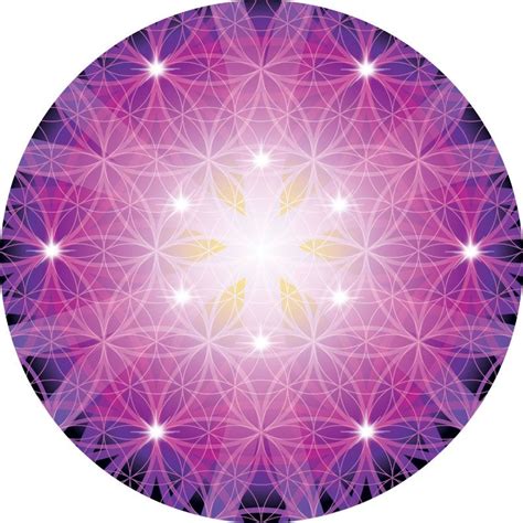 Pictures Of Loridawn Messuri