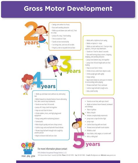 gross motor development infographic fine motor skills development