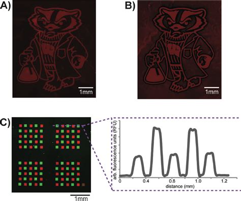 Figure 1 From In Situ Synthesis Of Oligonucleotide Arrays On Surfaces Coated With Crosslinked