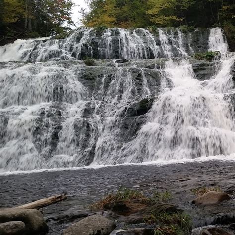 Kyle Macdonnell Youtube