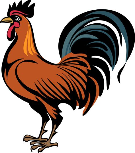 Single Rooster Icon Bird Outline Poultry Symbol Png Image