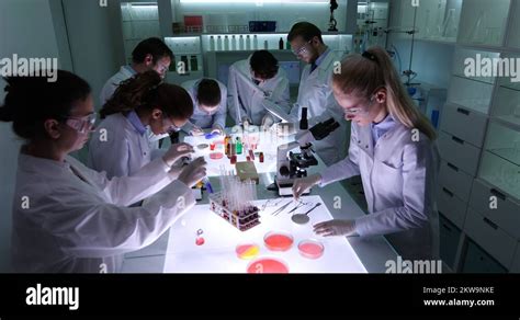 Scientists Researchers Working Experiments Tests Chemicals Microscope