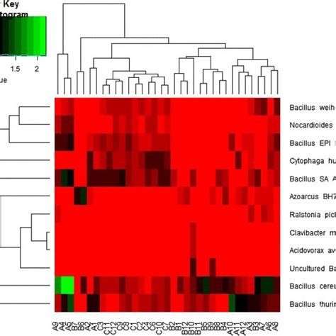 Microbial Distribution Of Different Communities From Samples In The
