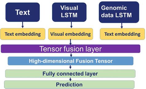 Multimodal Data Fusion By Combining Imaging Clinical And Molecular