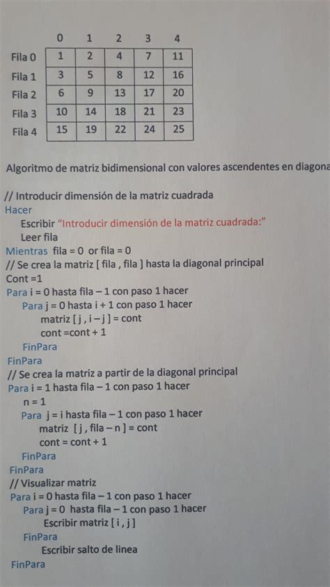 Algoritmo De Matriz Bidimensional Con Valores Ascendentes En Diagonal Artofit