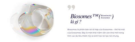 Anteage Biosomes And Exosomes Belle Lab