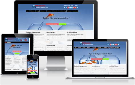 Xms Systems A Mobile Friendly Content Management System With E Commerce