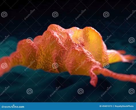 Cellula Del Macrofago Illustrazione Di Stock Illustrazione Di Cervello 49401075