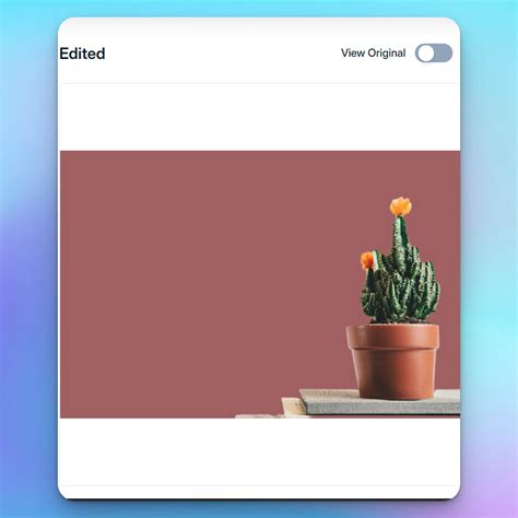 The Way To Remove White Background From Photos Easily