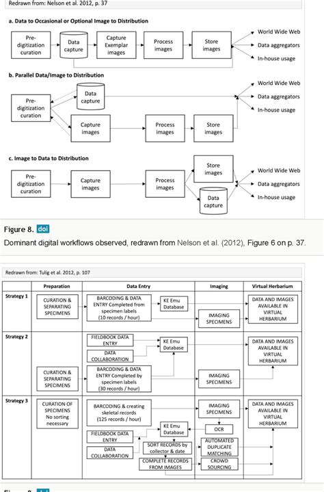 Figure 8 From Mapping The Digitisation Workflow In A University
