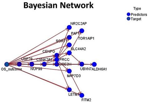 Bayesian Network The Set Of 16 Genes Was Also Tested Using A Bayesian