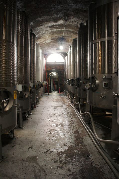 Can Precision Fermentation Together With Synthetic Biology Help To Secure Our Food Systems