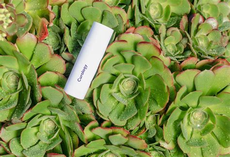 Empower Your Strategy Mastering The Product Development Workshop