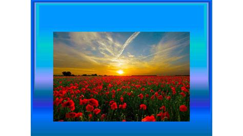 Шаблоны презентаций Power Point на тему «Природа