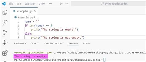 How To Check If A String Is Empty Or Nan In Python