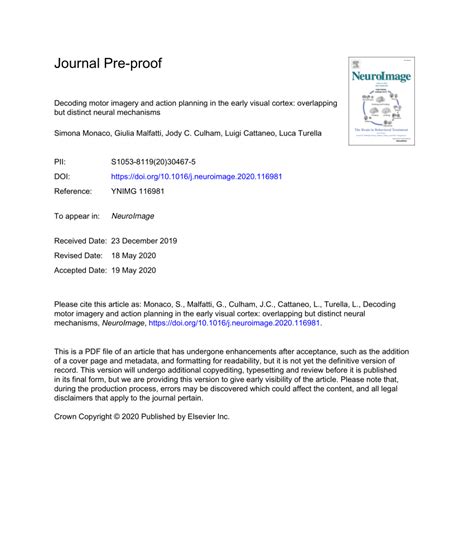 Pdf Decoding Motor Imagery And Action Planning In The Early Visual