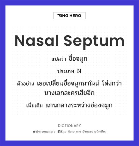 Nasal Septum แปลว่า ขื่อจมูก Eng Hero เรียนภาษาอังกฤษ ออนไลน์ ฟรี