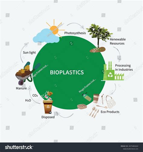 Bioplastics Sustainability Biodegradable Plastics Stock Vector Royalty